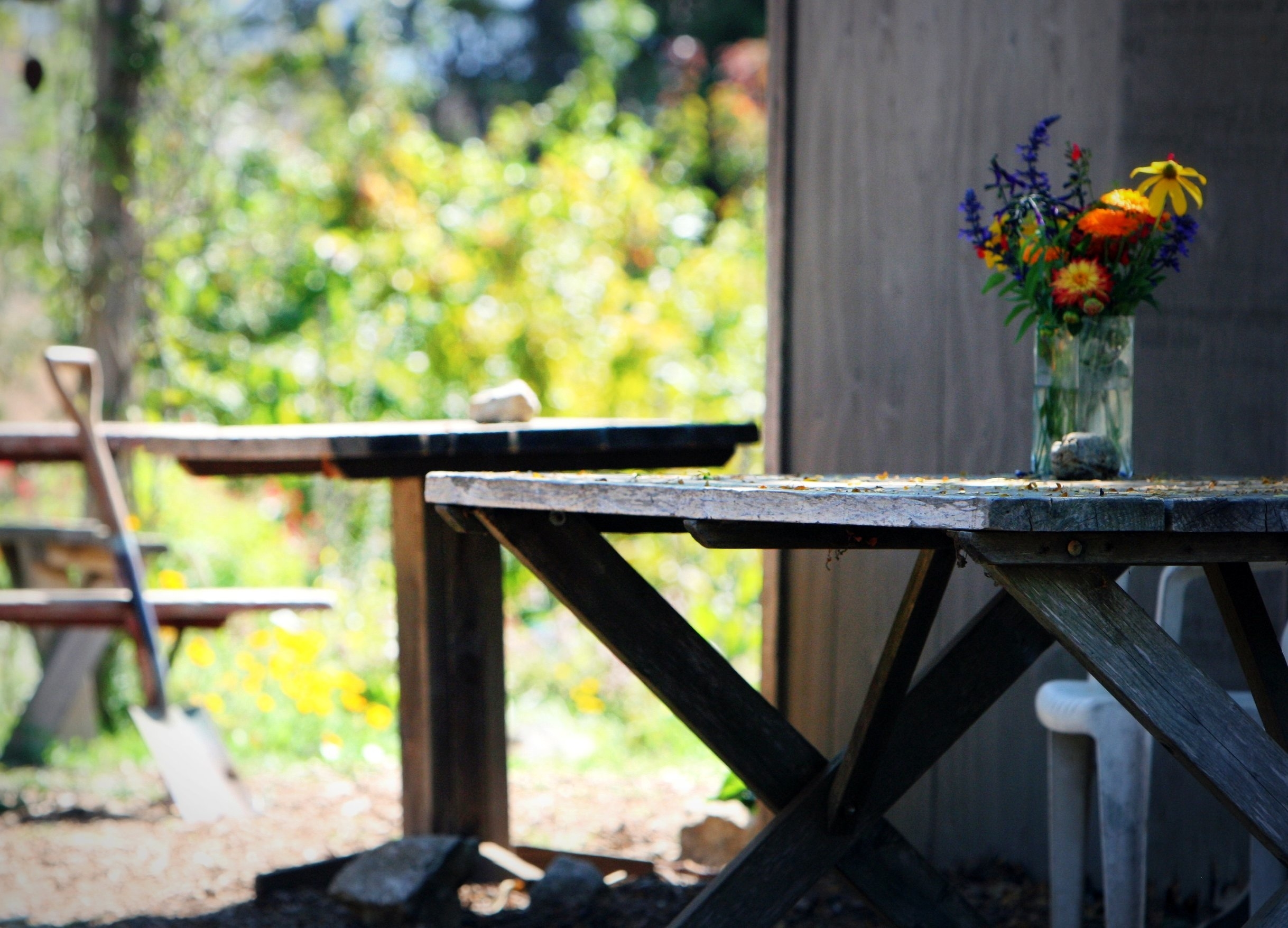 Pop-Up: Righteous farming – UC Santa Cruz Magazine