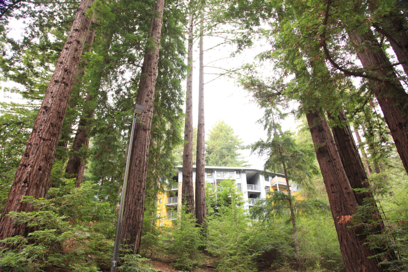 Spring 2017 – UC Santa Cruz Magazine