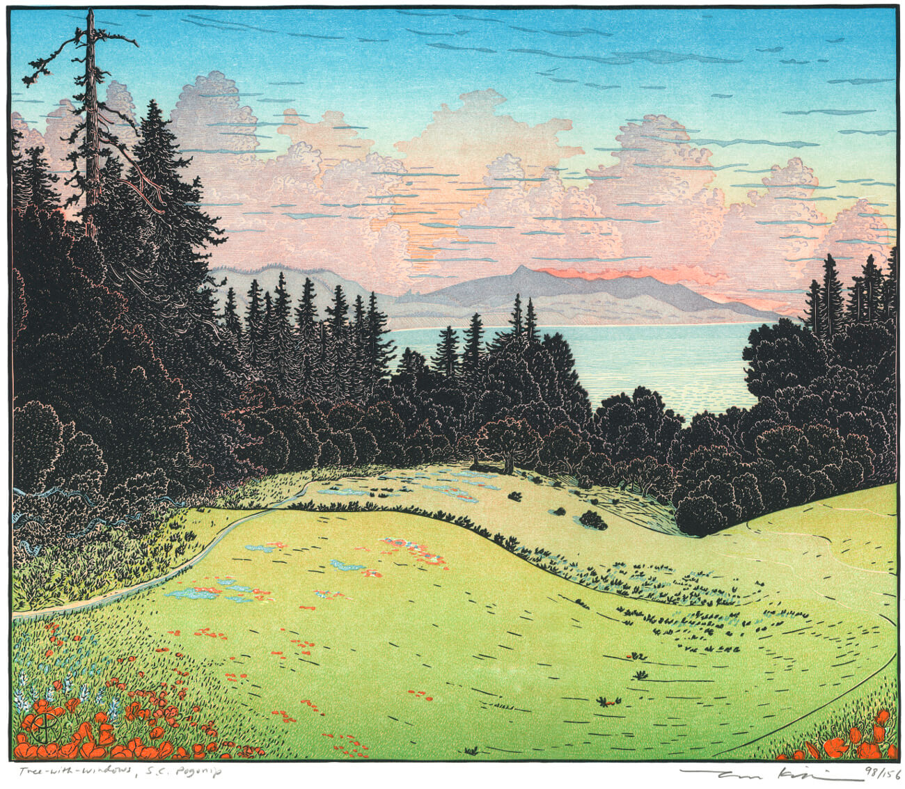 Tom Killion: A life in color – UC Santa Cruz Magazine