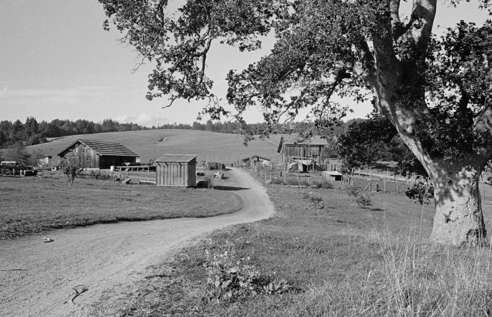 UC Santa Cruz at 60: 1965–1974 – UC Santa Cruz Magazine